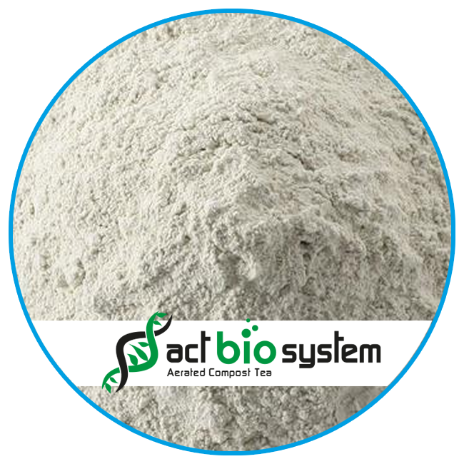 ZEOLITHE CLINOPTILOLITE Micronisée_ACT | Act Bio System